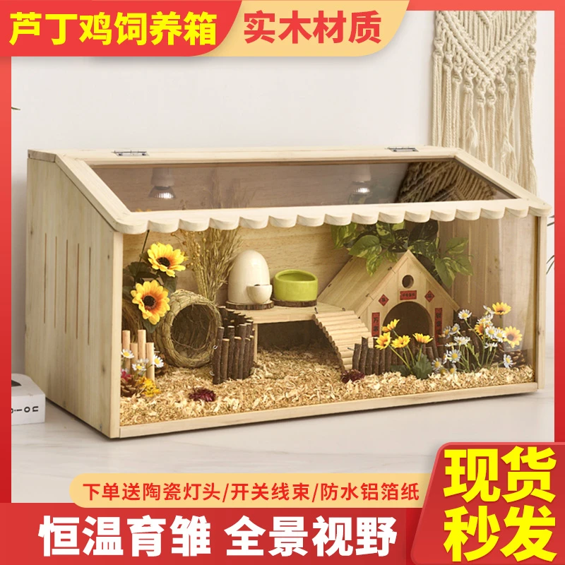 Rutin Chicken Pet Feeding Box Full Set Ornamental Cage Breeding Special ...