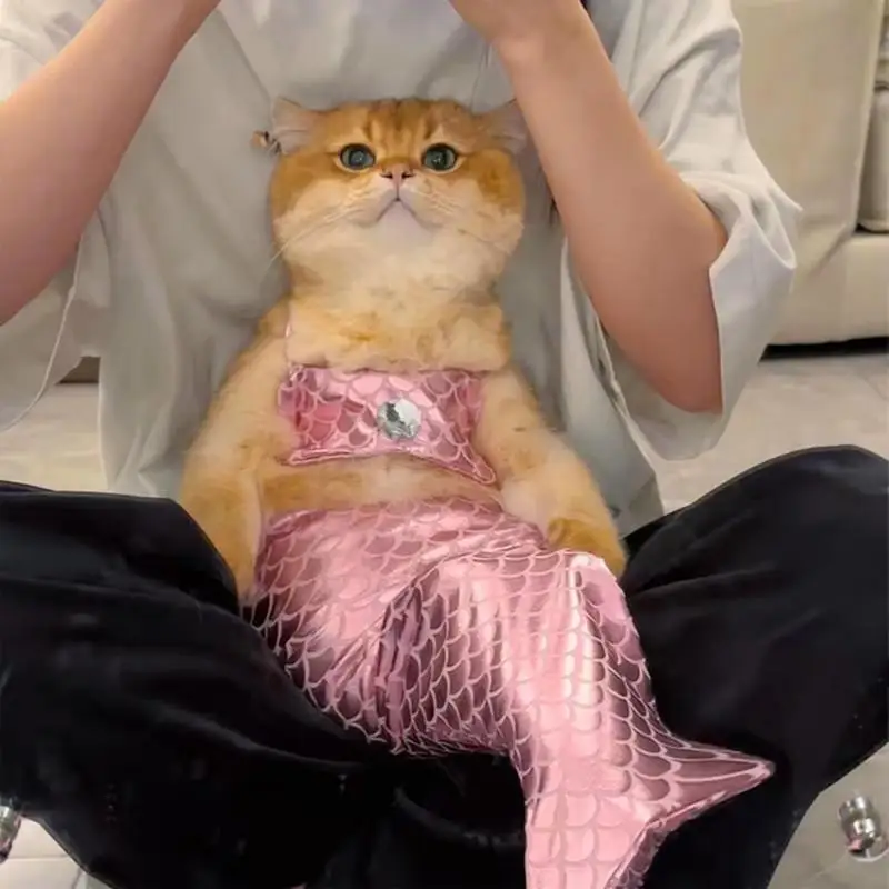 Mermaid-Cat-Costume-Mermaid-Tail-Clothes-Sequin-Mermaid-Dress-Cat ...