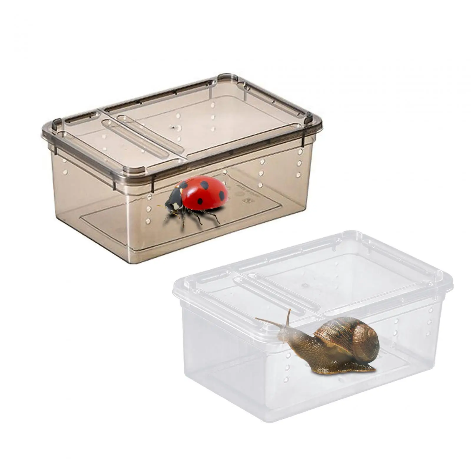Reptile Feeding Box Hatching Case Rectangle 12.5x19x7.5cm Animal ...