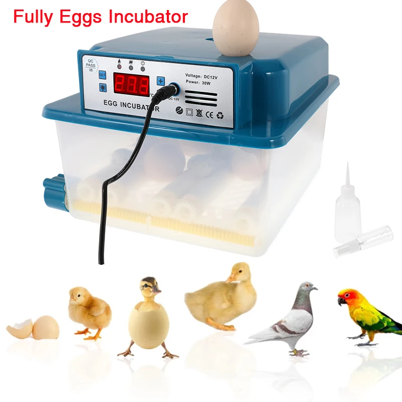 6-16pcs-36pcs-Intelligent-Incubator-Fully-Automatic-Small-Domestic ...