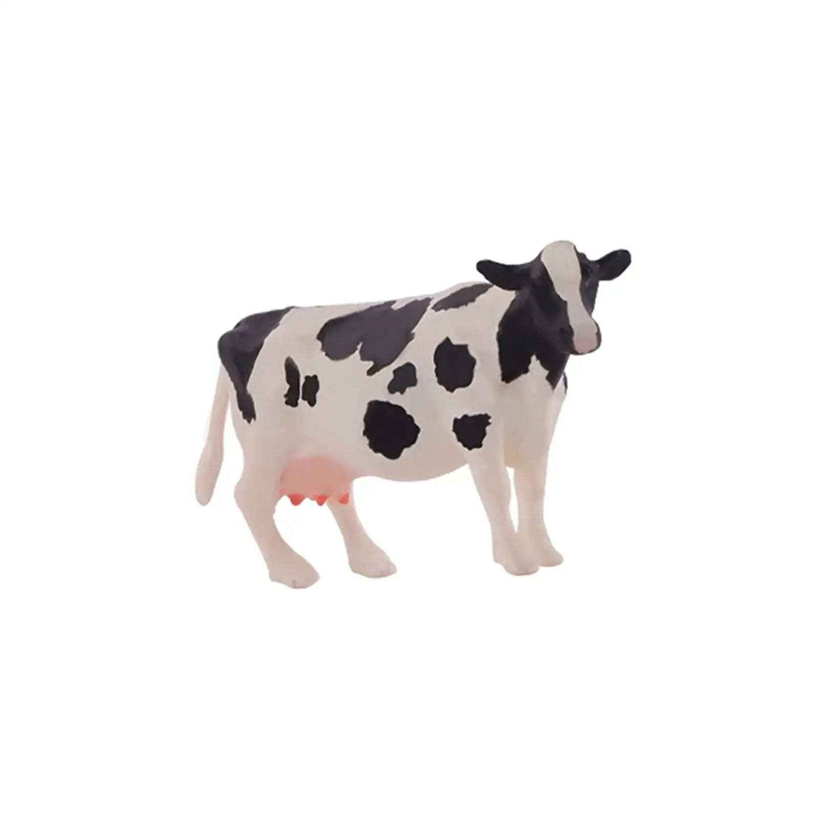 Miniature Holstein Cows