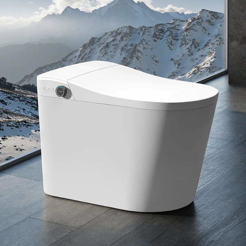 Discover the Future of Bathroom Hygiene: The Japanese Floor Toilet ...