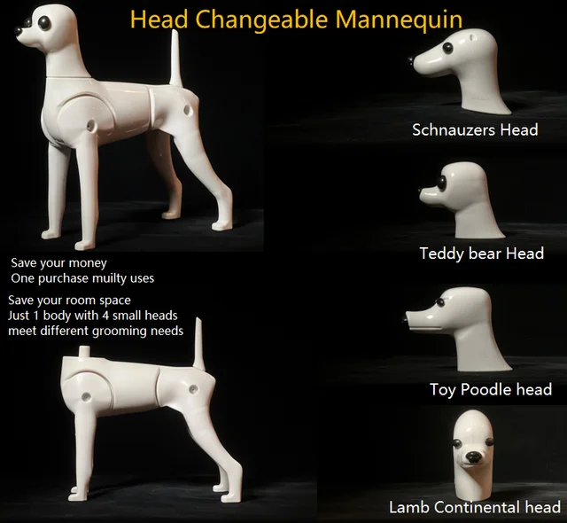 Pet Head Display
