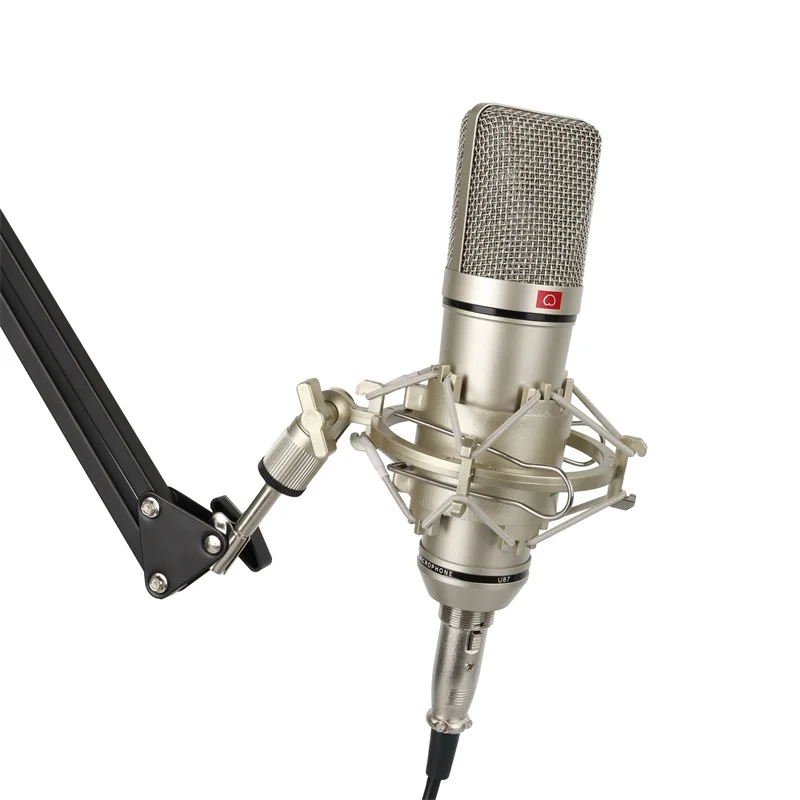 Professional-Condenser-Microphone-Large-Diaphragm-Mic-For-PC-Recording ...