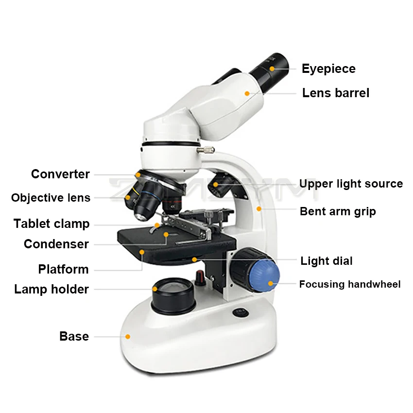 1000x Microscope Diagram