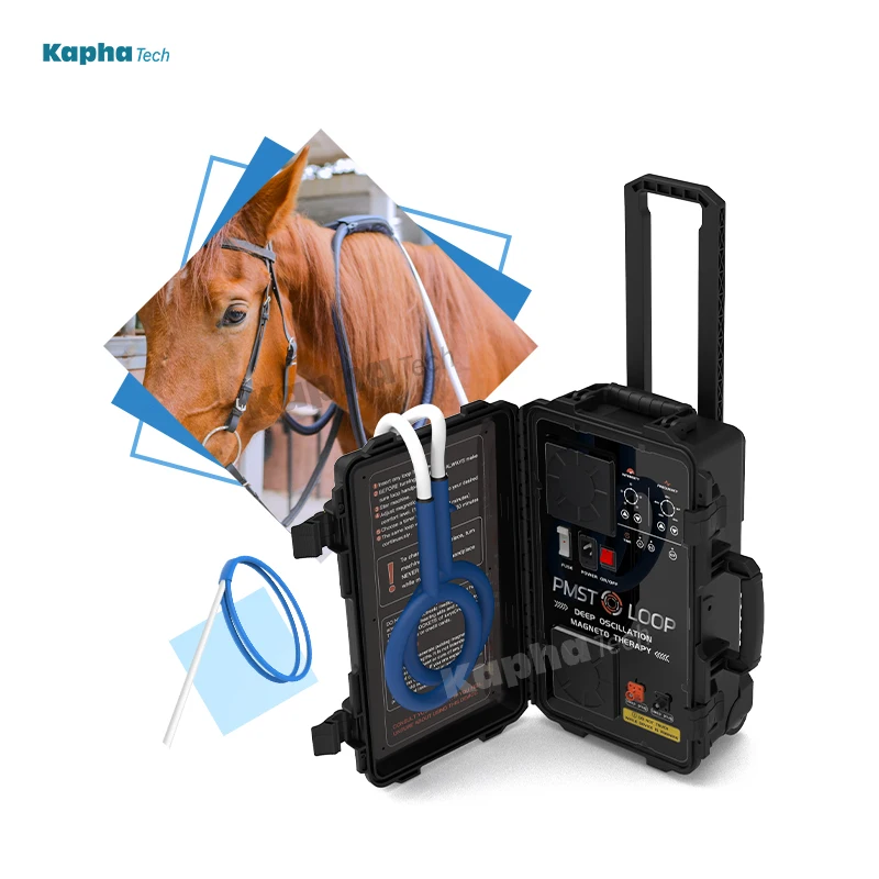 Magnawave-PEMF-Therapy-Equine-PMST-LOOP-for-Horses-s-Re-Muscle-Soreness ...