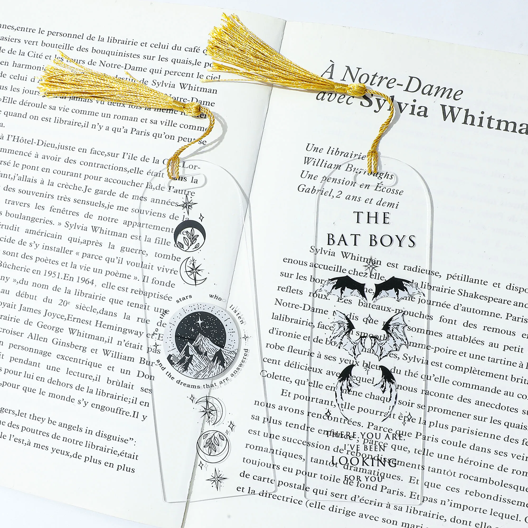 fourth wing flying dragon rider bookmark with tassel, reading accessory ...