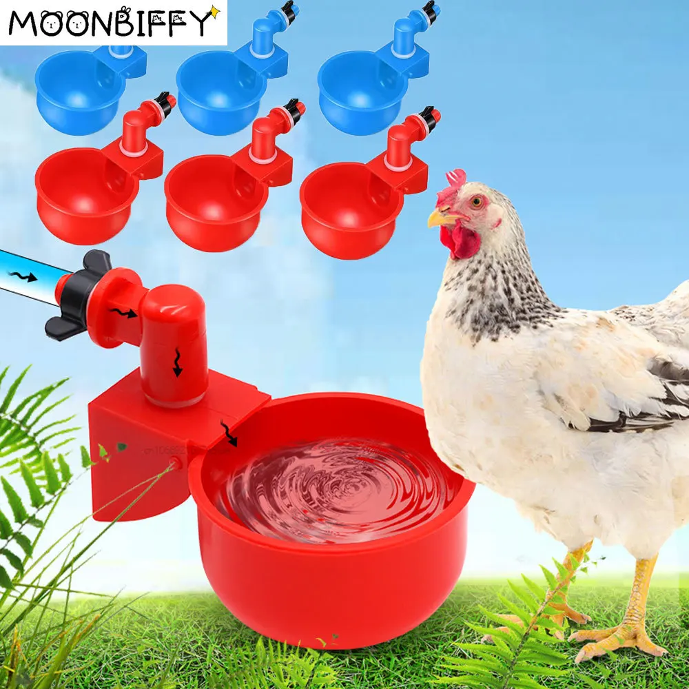Automatic-Chicken-Water-Cup-Waterer-Bowl-Kit-Farm-Coop-Poultry-Waterer ...