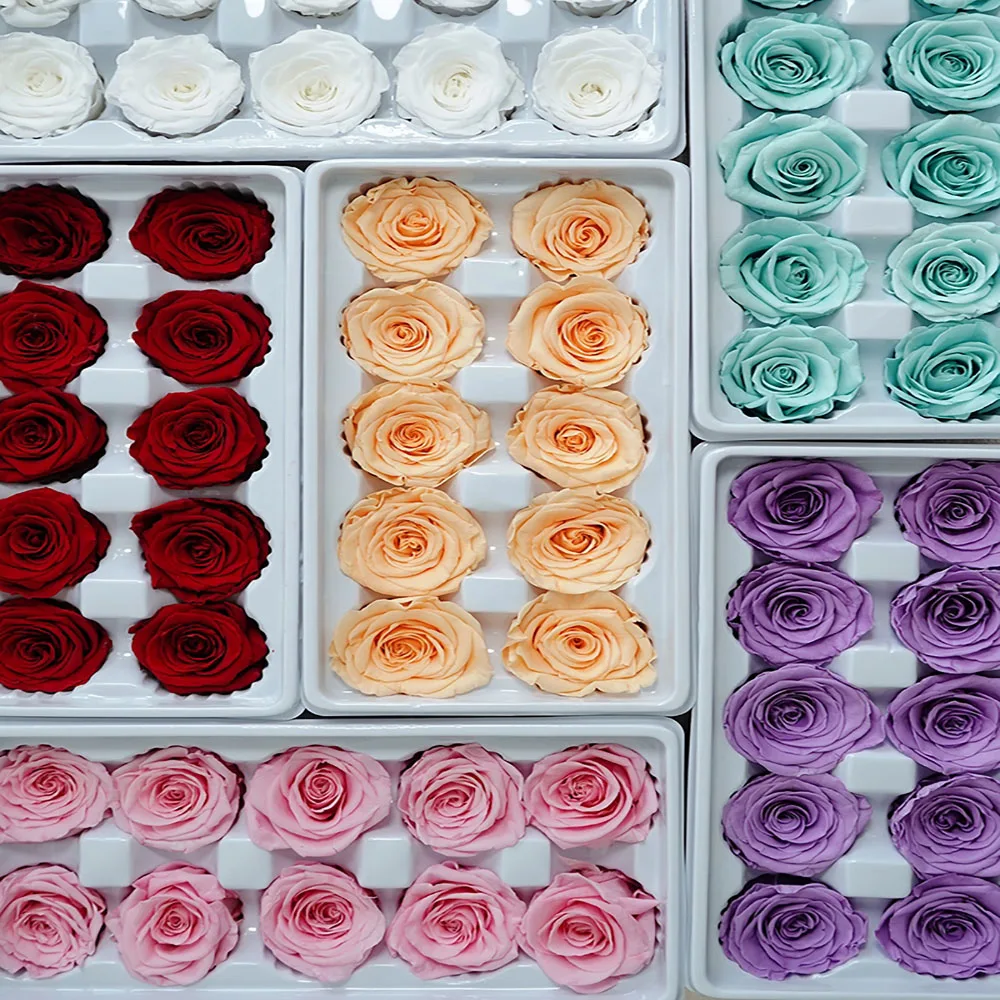 3-5cm-Preserved-Roses-Head-Romantic-Gift-DIY-Material-Natural-Rose ...