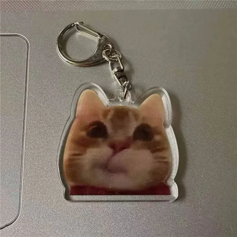 Cartoon-Cat-Acrylic-Key-Chains-New-Kawaii-Keychain-Pet-Key-Ring-Animal ...