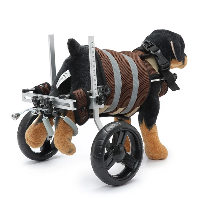 Dog Cart Plans