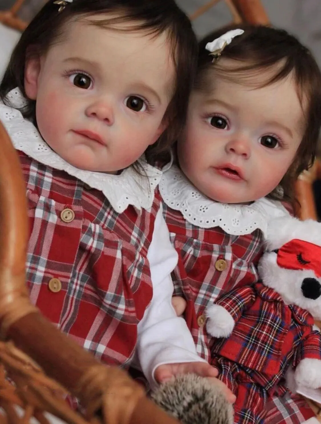 60CM Already Painted Finished Doll Reborn Baby Twins Girl Maggi Suesue ...