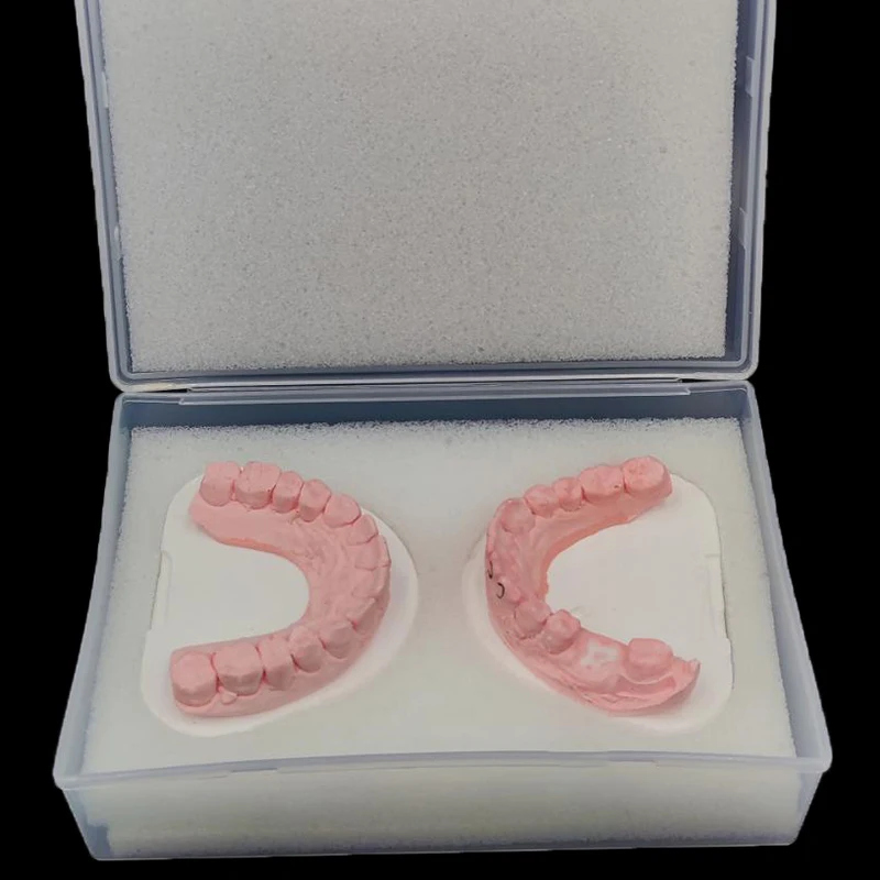Dental-Plastic-Tooth-Box-With-Sponge-Portable-Denture-Box-Dental ...