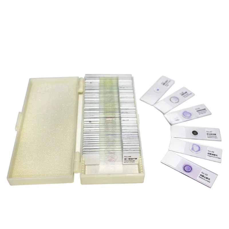 50-Kinds-of-Bacteria-Fungi-Microscopic-Sections-Prepared-Glass ...