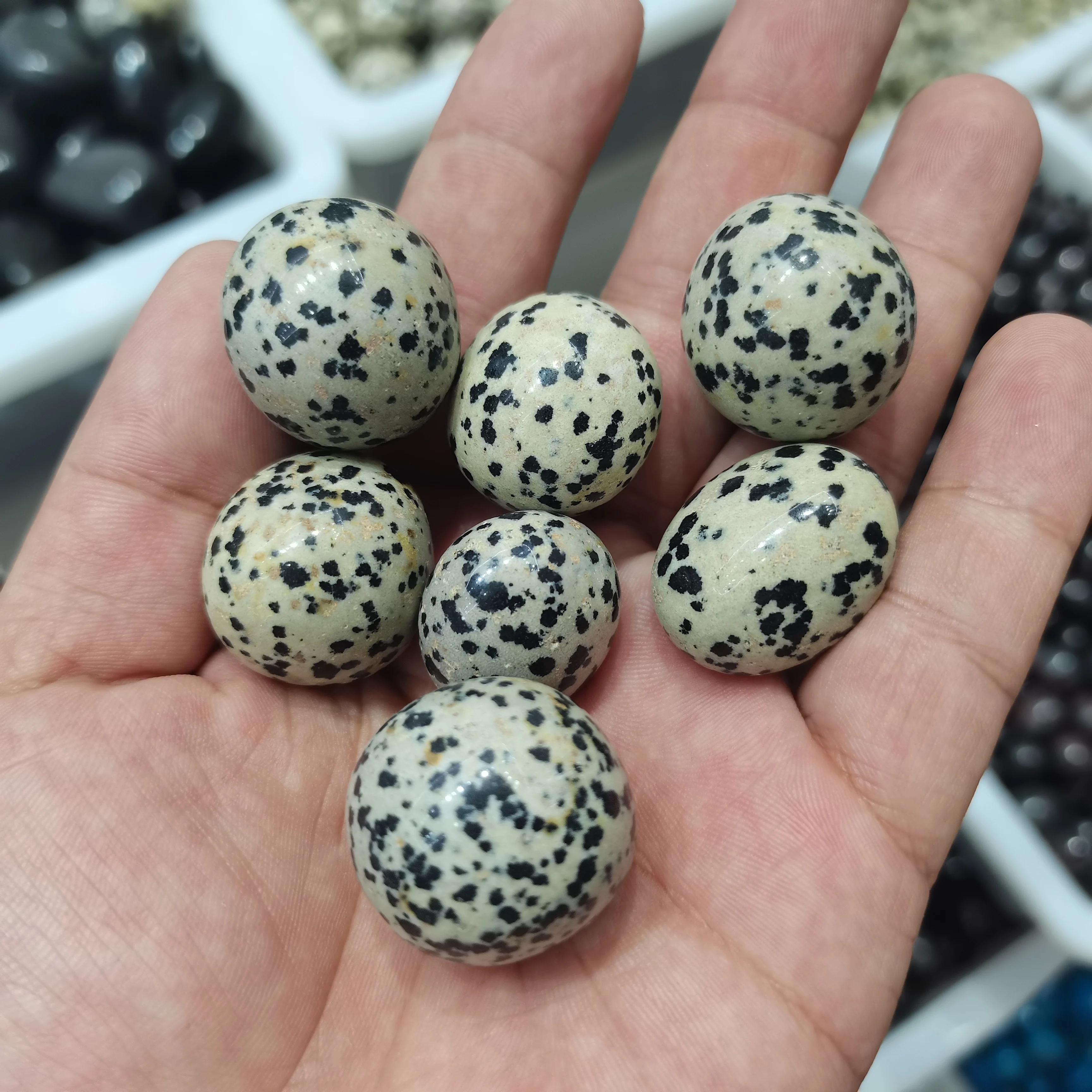 Natural Spotted Dalmatian Jasper Crystal Tumbled Bulk Healing Mineral ...