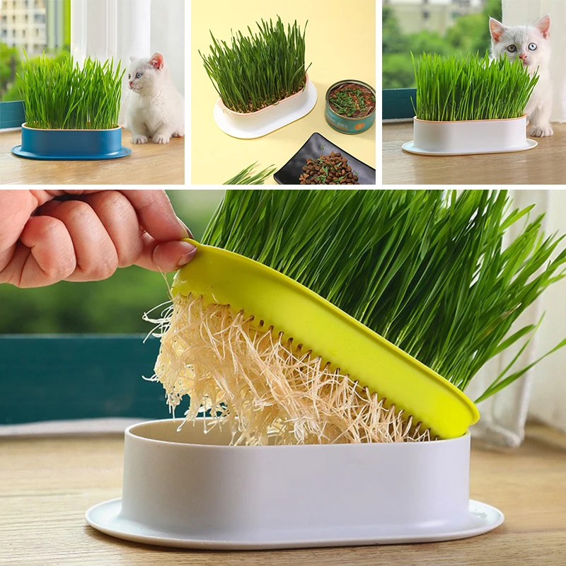 Pot-de-semis-hydroponique-r-utilisable-pour-chat-bol-d-herbe-chat ...