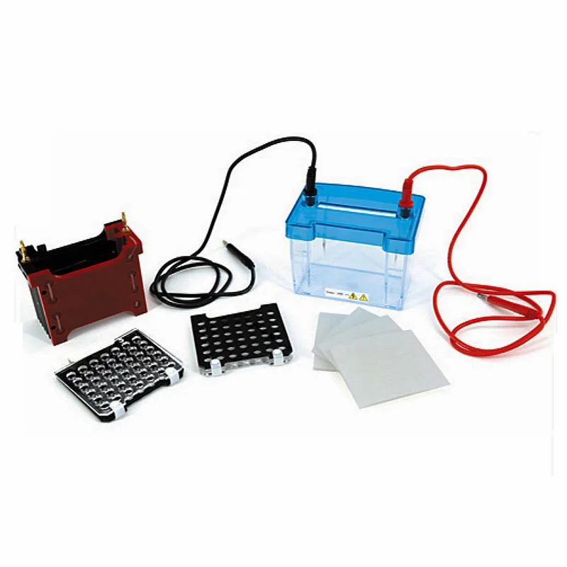 Trans-Blotting Electrophoresis Cell Mini Transfer Electrophoresis Tank ...