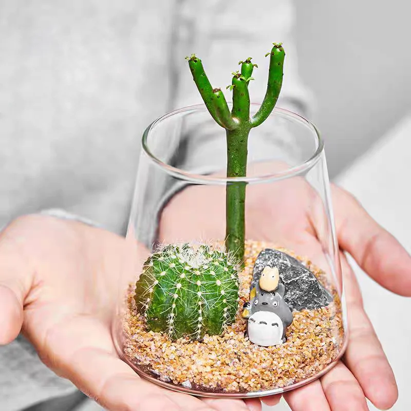 Mini Cactus Terrarium