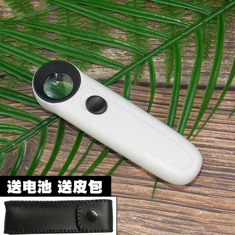 Handheld-40X-Magnifying-Magnifier-Mini-LED-Acrylic-lens-Glass-Jeweler ...