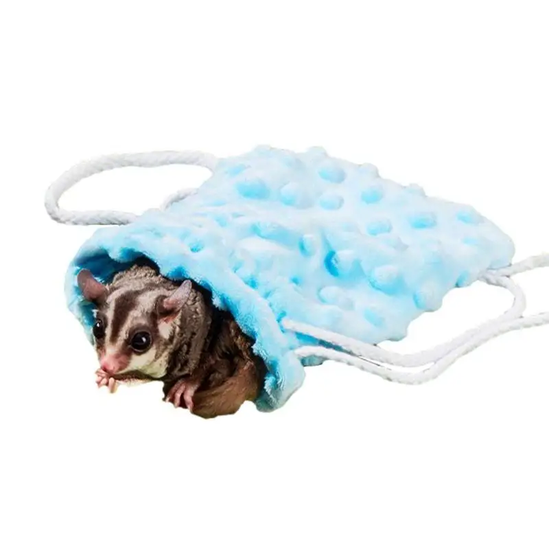 Sugar Glider In Bonding Pouch