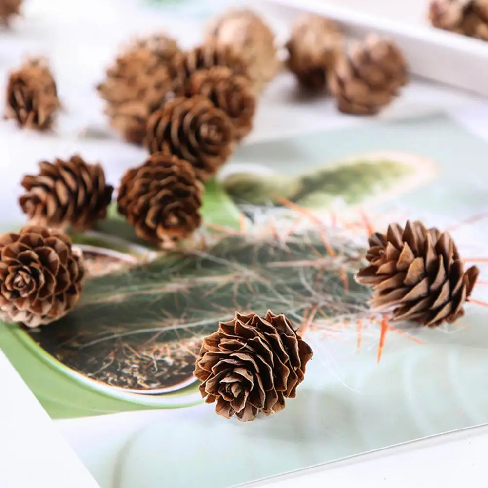 20Pcs Fake Pine Cone Natural Decorative DIY Simulation Pinecone for ...