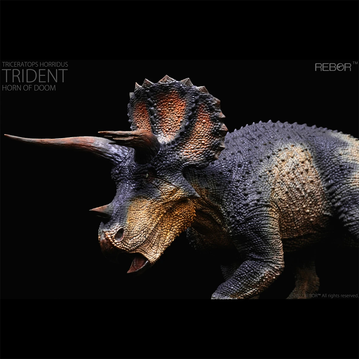 Dinosaurs Triceratops | Triceratops Figure | Dinosaurs Figures ...
