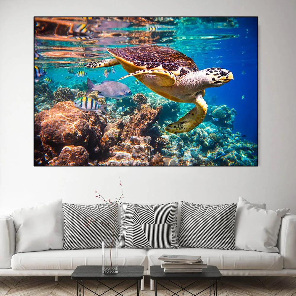 Turtle Room Decor