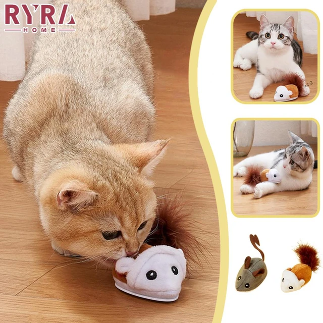 Mouse Cat Toy That Moves