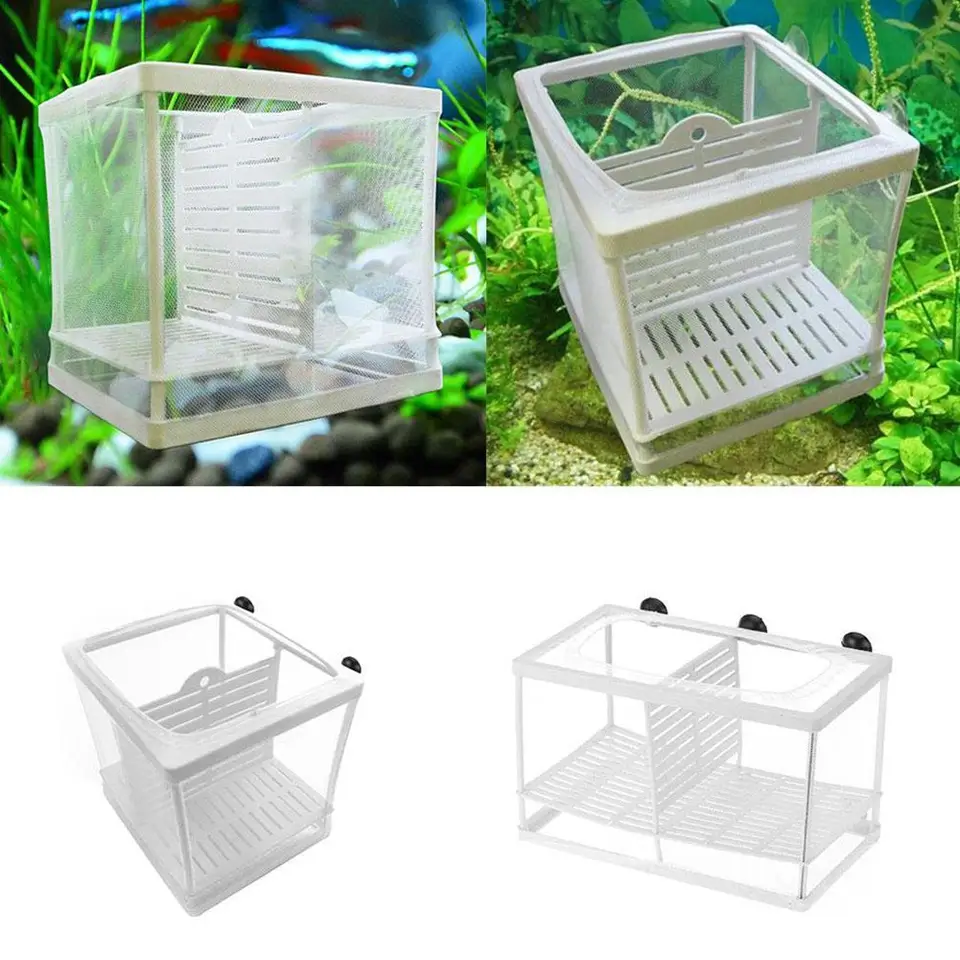 Fish Tank Separator 26x15x15cm Fish Breeding Box Isolation Net, Fish ...
