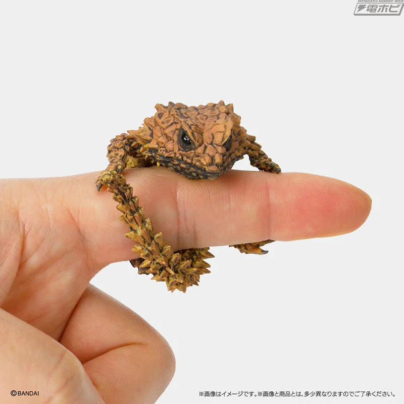 Golden Armadillo Lizard