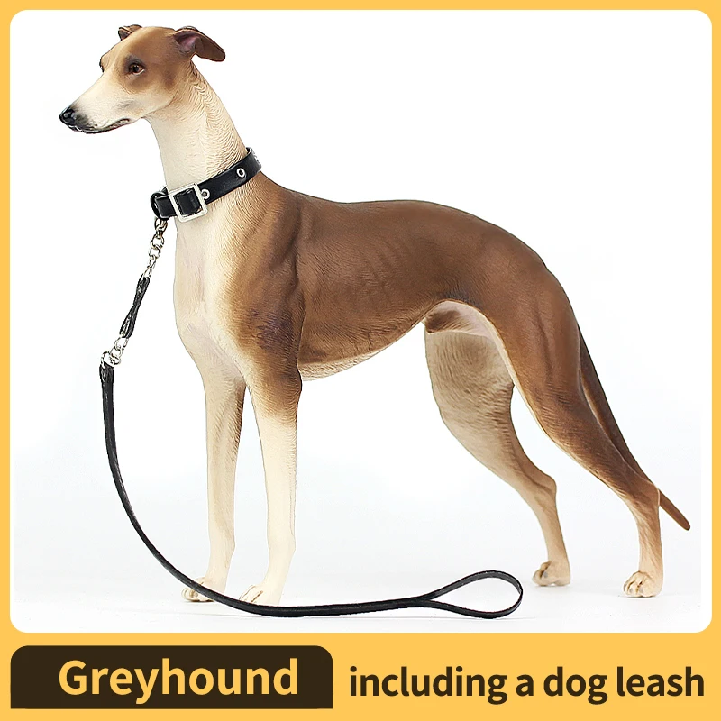 Realistic Greyhound Animales Toy Action Figure - Collectible Model for ...