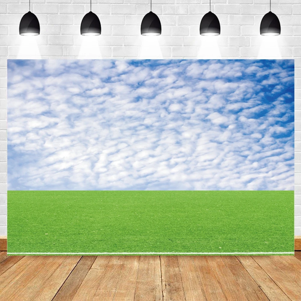 Green Grass Blue Sky Vertical