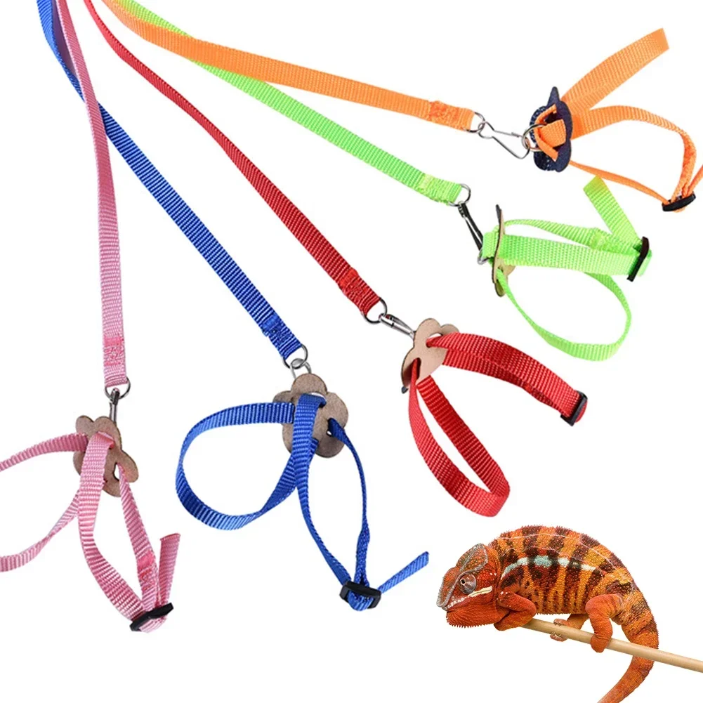 Adjustable-Parrot-Bird-Hamster-Turtle-Lizard-Traction-Rope-Pet-Strap ...