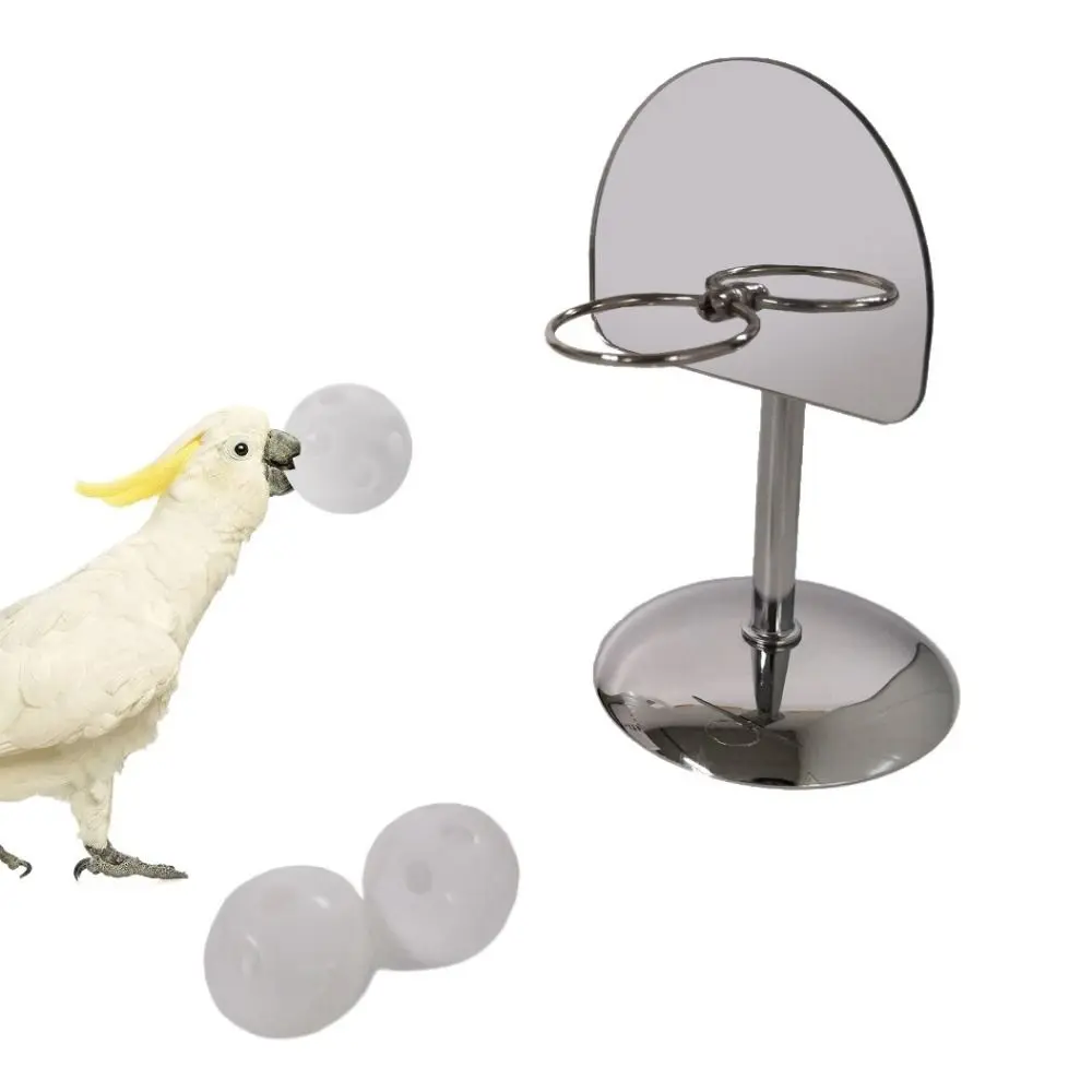 Bird-Parrot-Basketball-Hoop-Props-Toy-Parakeet-Balls-Puzzle-Game-Chew ...