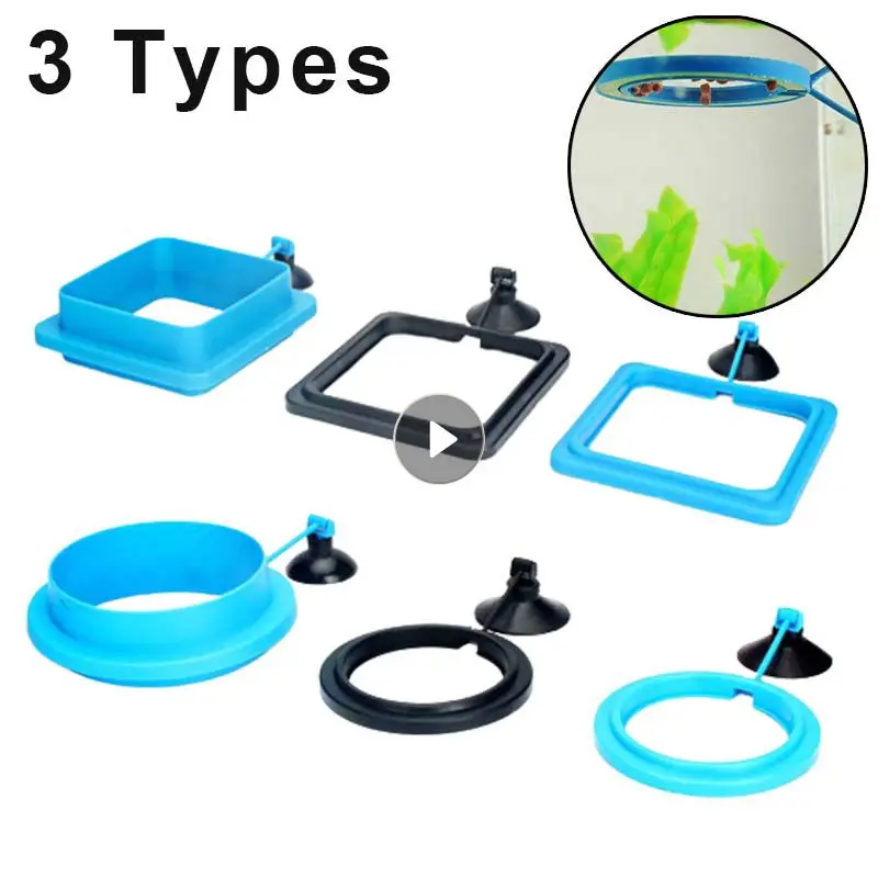 Aquarium Feeding Ring Fish Tank Station Floating Food Tray Feeder ...