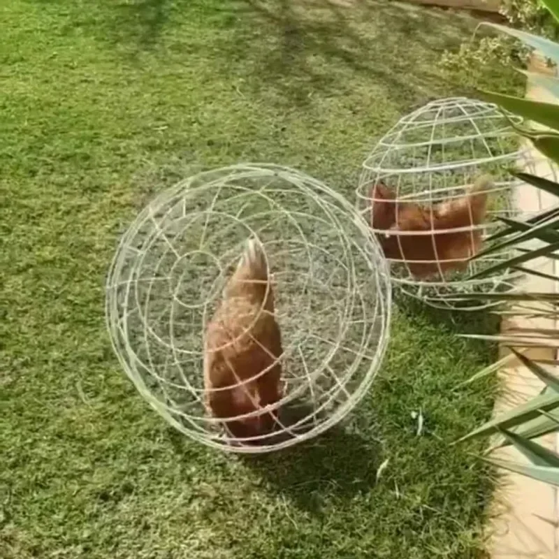 Net-Red-Walking-Chicken-Cage-Plastic-Spherical-Chicken-Cage-Round ...