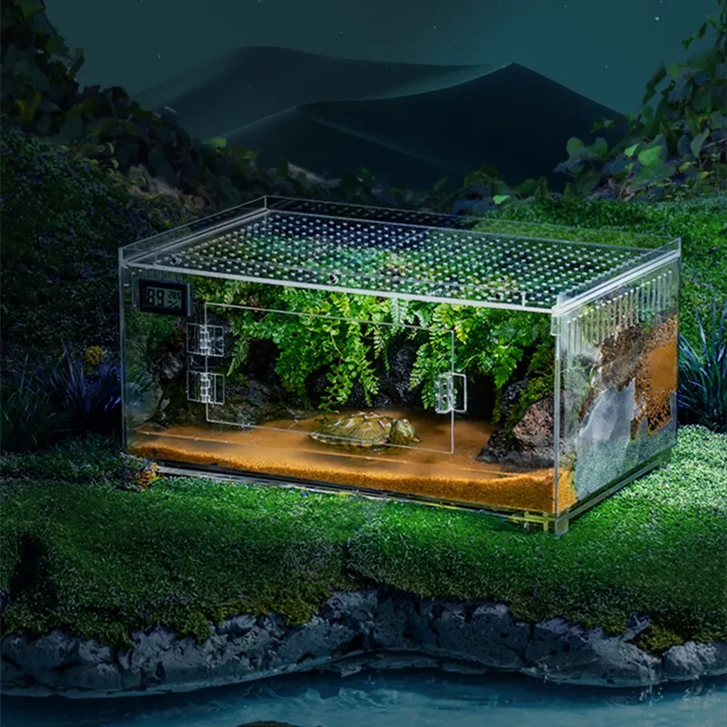 Exo Terra Bearded Dragon Kit