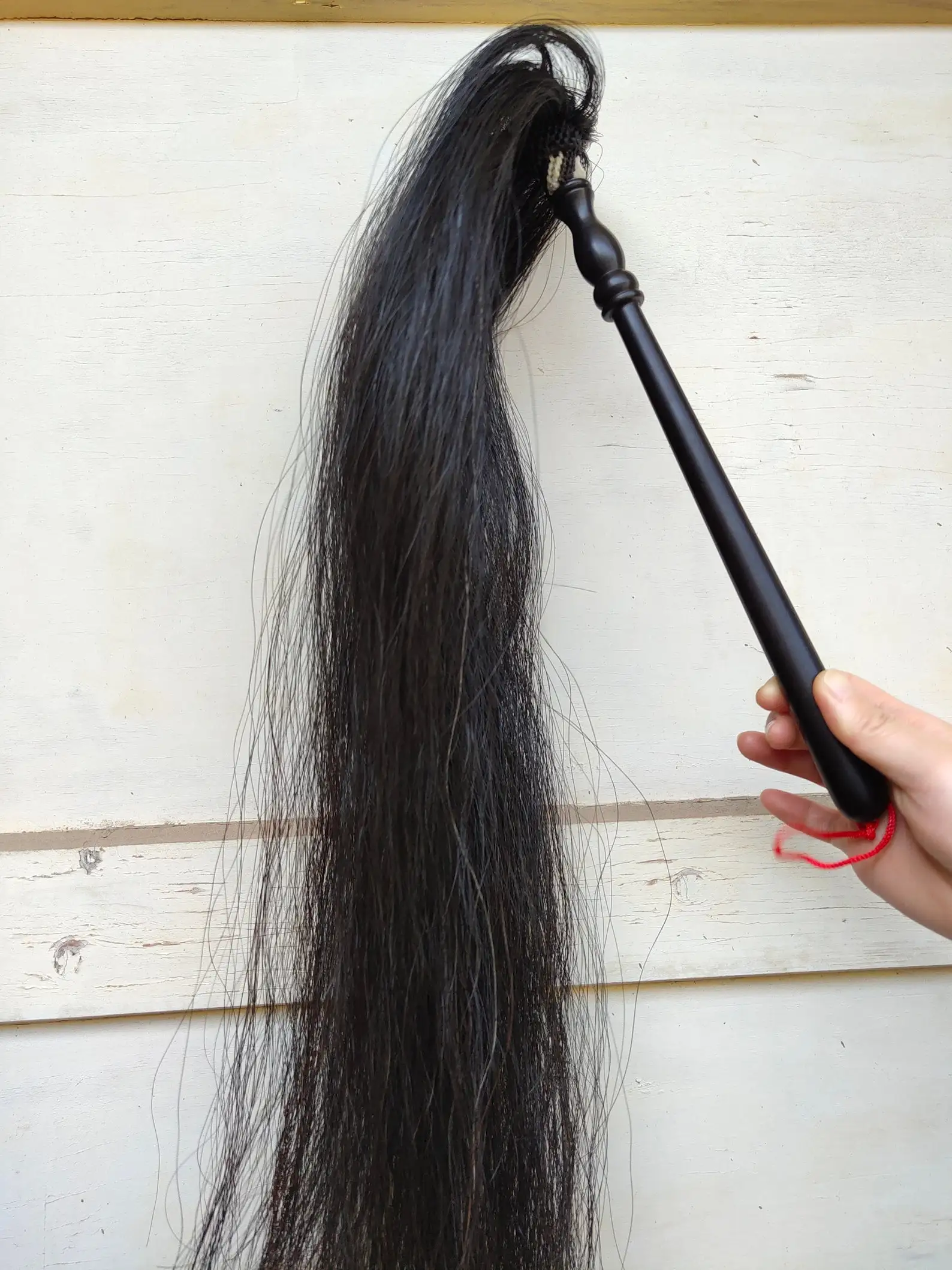 Longest Horse Tail In The World