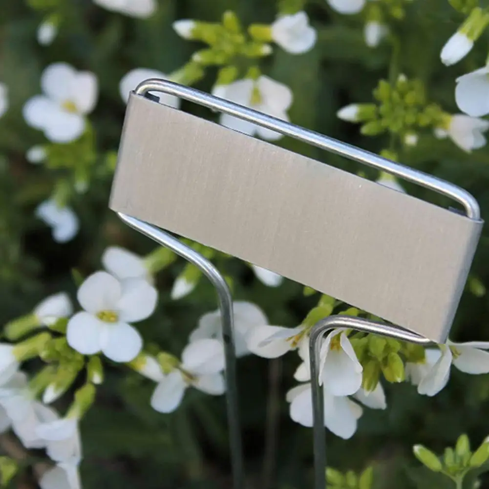 Garden-Stake-Permanent-Plant-Tag-Stake-Easy-to-Use-Flower-Arrangement ...