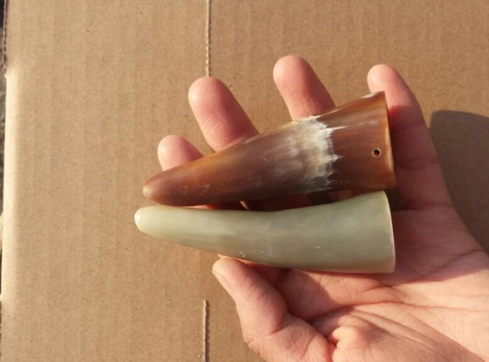 Cattle's Horn Raw Materials, Specially Selected Color, High Quality ...
