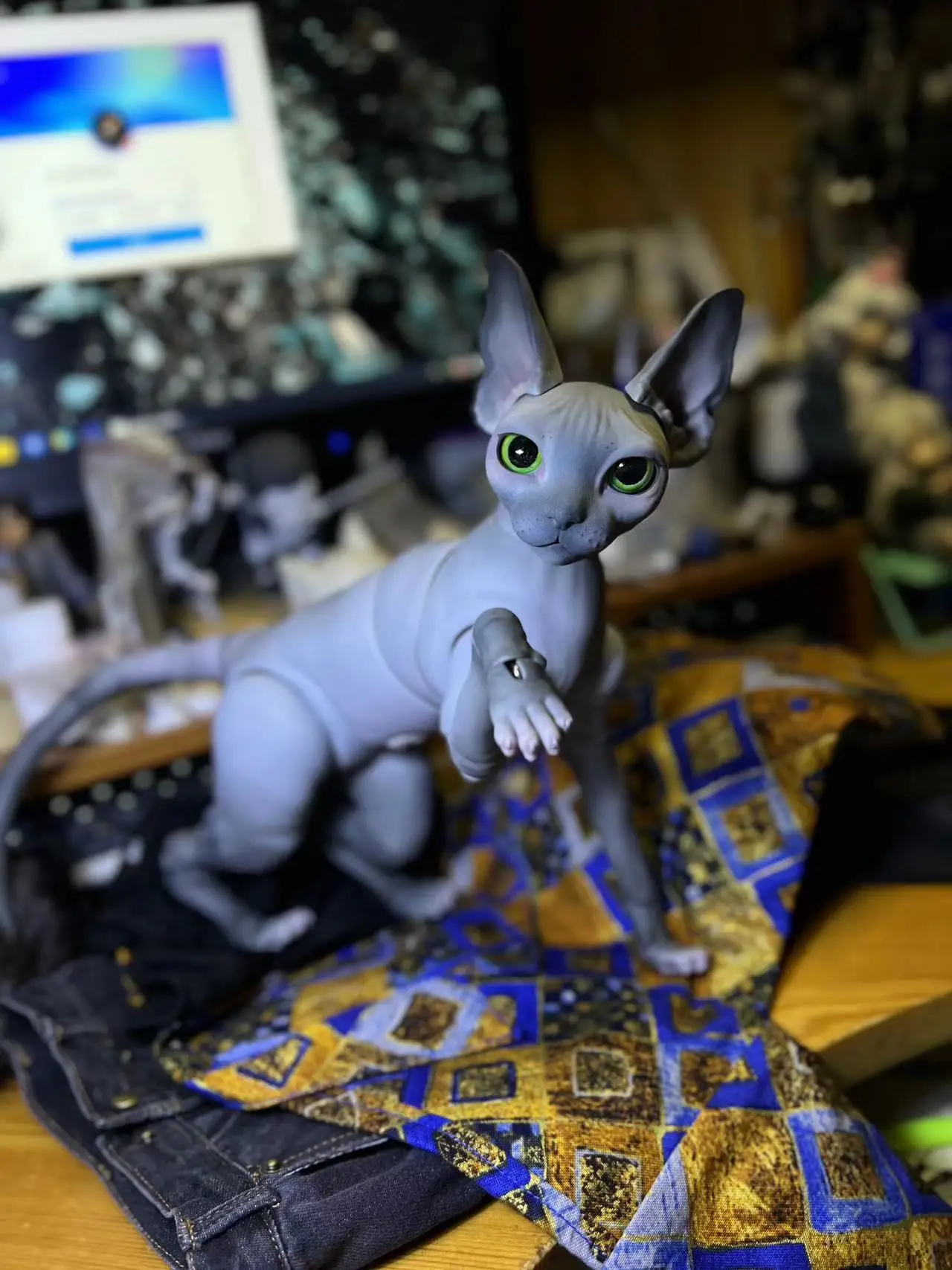 Store Home Products Outdoor Fun Feedback