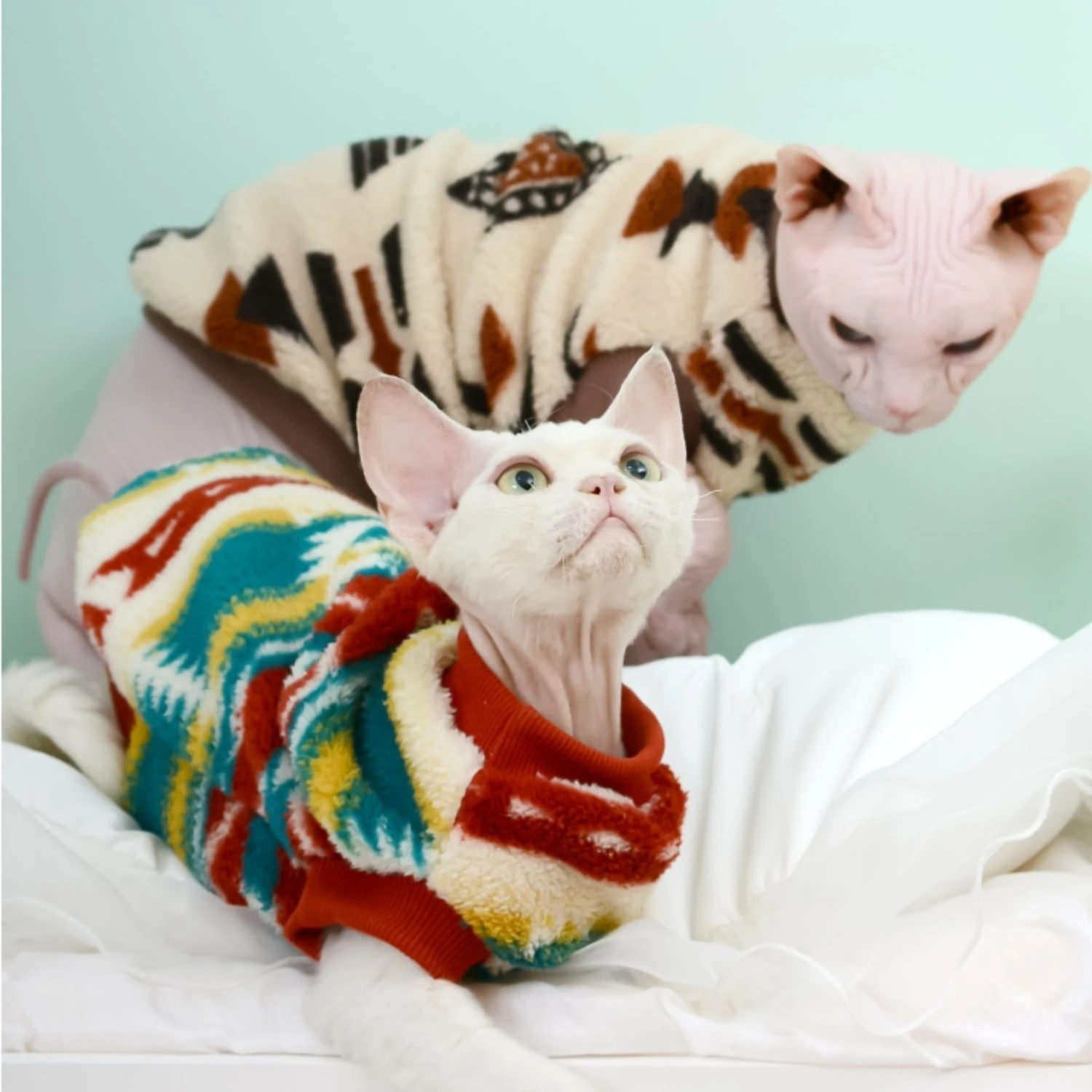 Sphynx Cat Christmas New Year Sweater Hairless Cat Warm Fleece Vest in ...