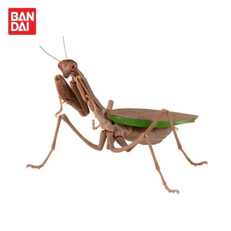 Bandai-Biology-Big-Illustrated-Mantis-Simulation-Insect-Broadsword ...