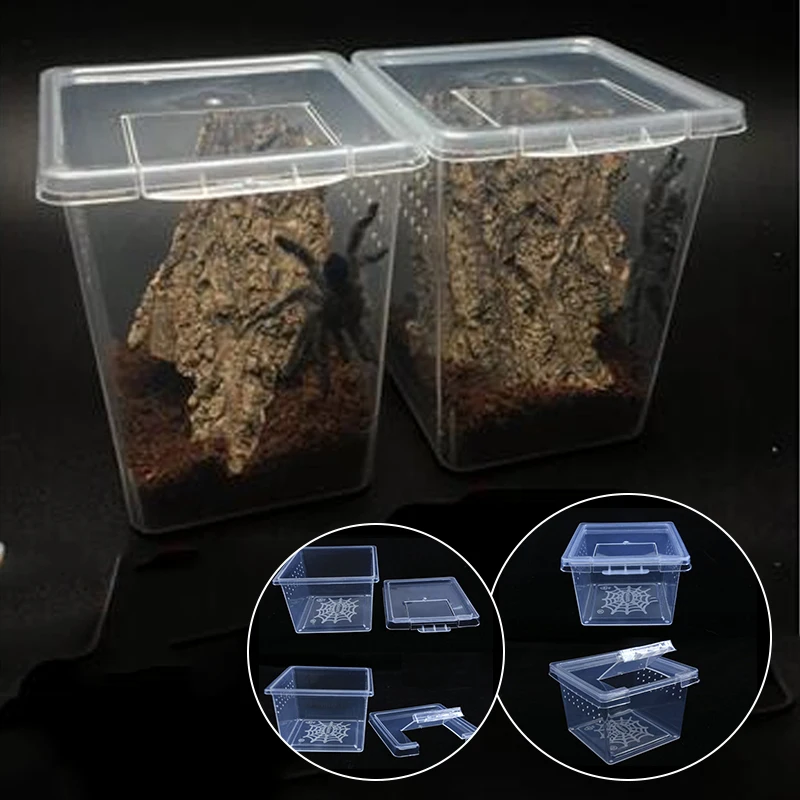 Reptile-Breeding-Box-Habitat-Lizard-Snake-Amphibian-Acrylic-Cage-Frog ...