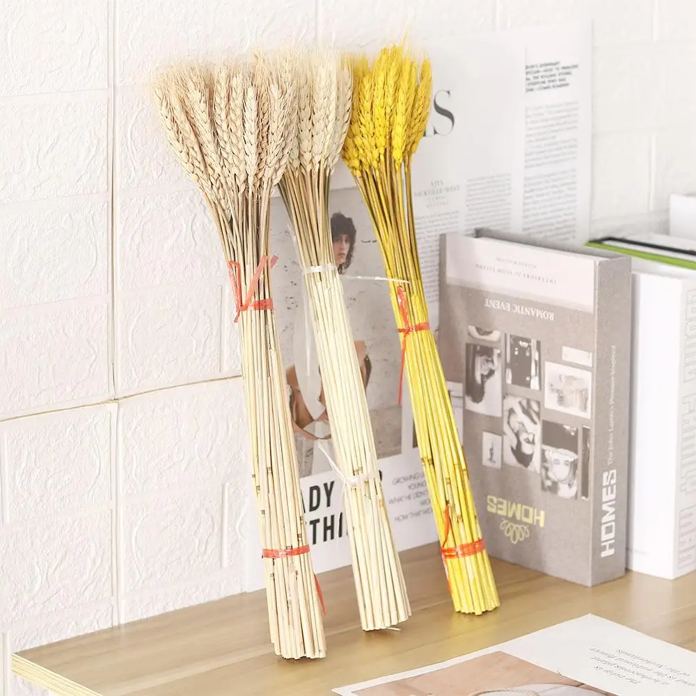 Flores-secas-naturales-de-oreja-de-trigo-Real-para-decoraci-n-de-fiesta ...