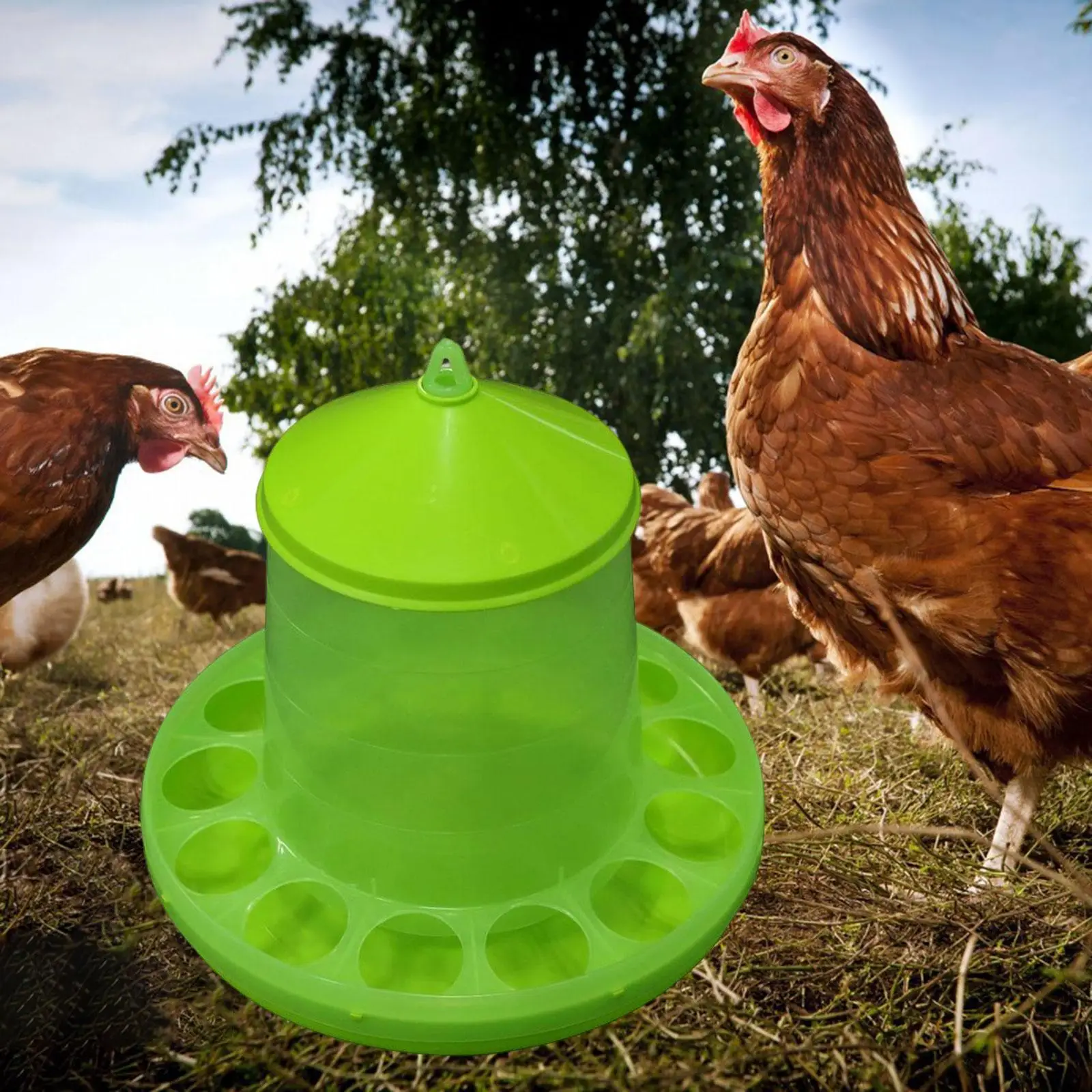 Chicken Feeder Waterer Food Dispenser Barrel Farming Tools feed Bucket ...