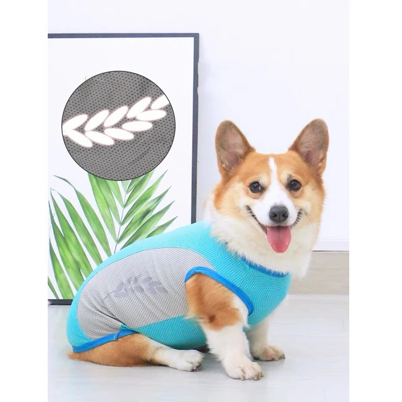 Chaleco reflectante de refrigeración para perro, camiseta para mascotas pequeñas, medianas y ...