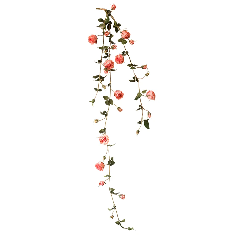 Rose Vine Png