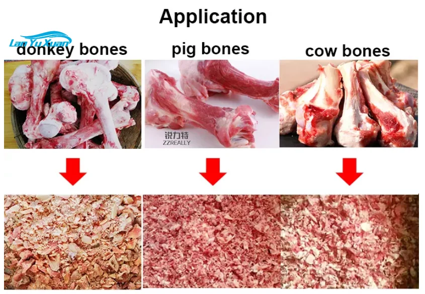 Meat And Bone Meal Cow
