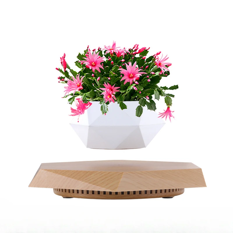Maglev-potted-plant-flower-pot-creative-bonsai-handicraft-gifts-ins ...